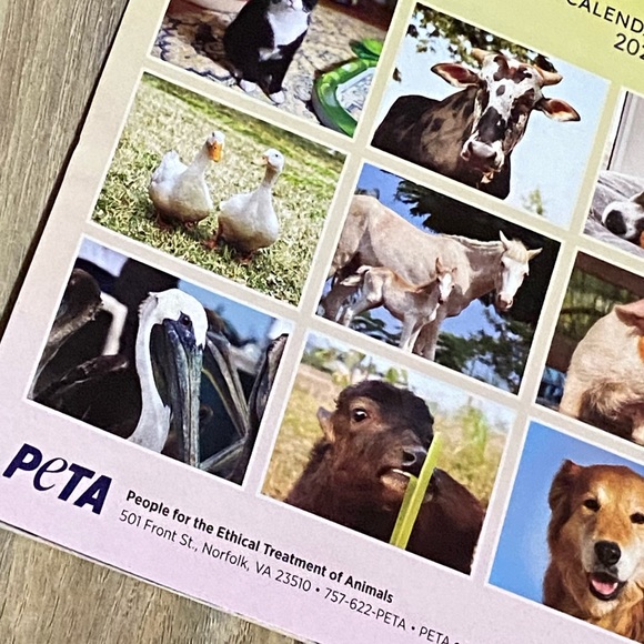 peta rescued | Office | Peta Rescued 222 6 Month Calendar | Poshmark
